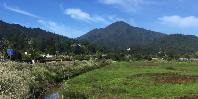 Super Larkspur Bike Ride*